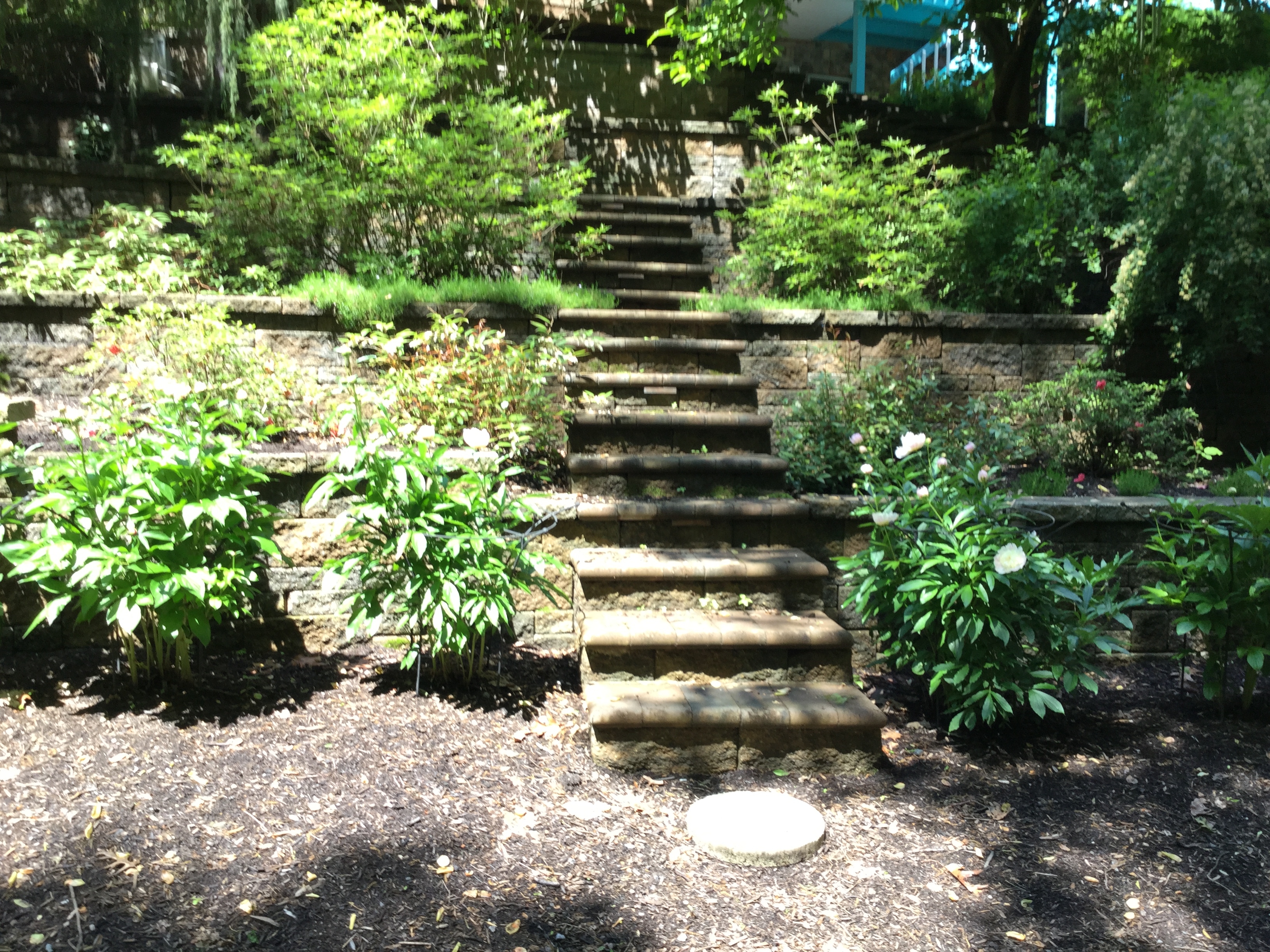 Img 2265 Fall Into The Story