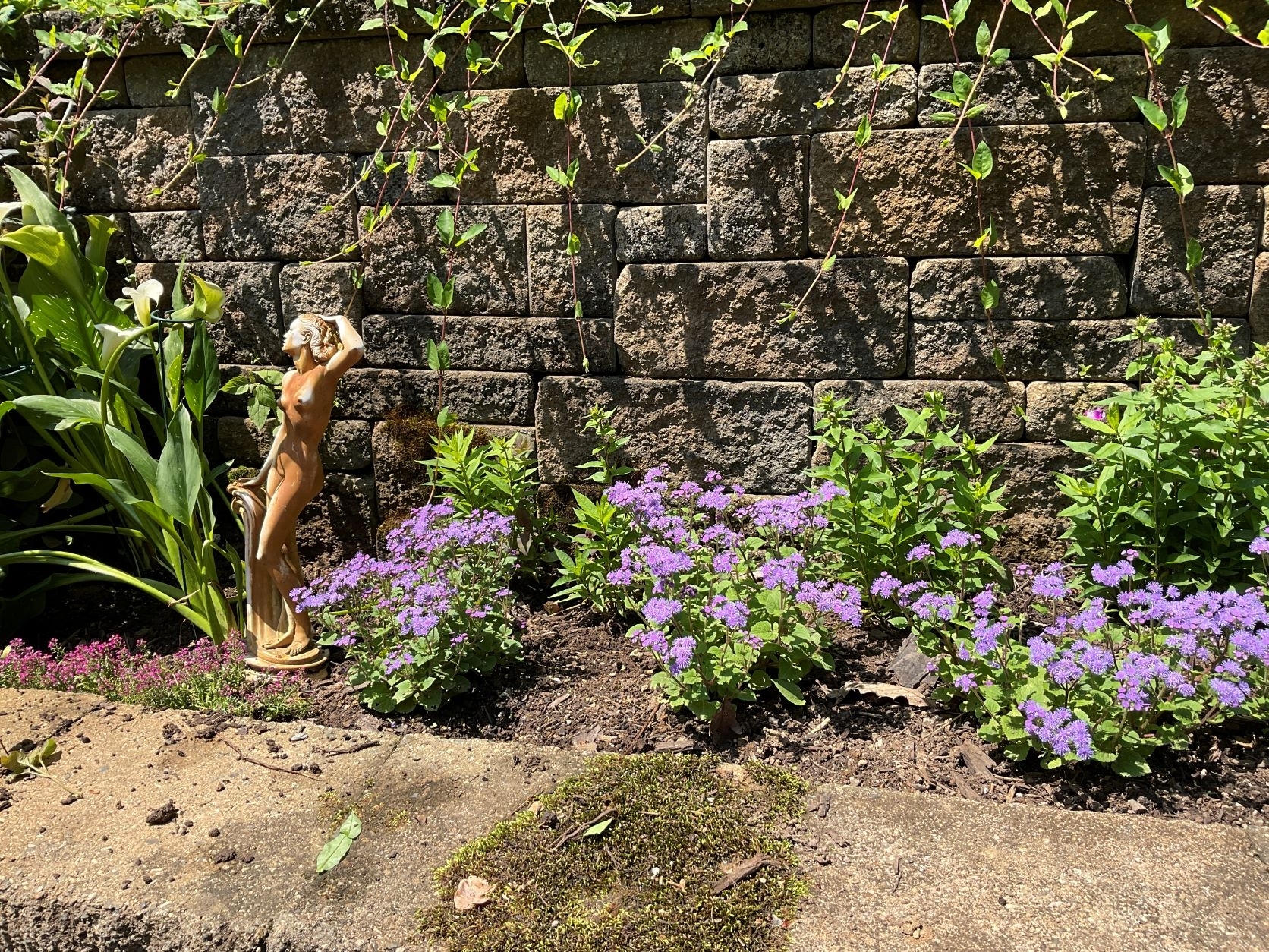 nymph 2 | Fall into the Story